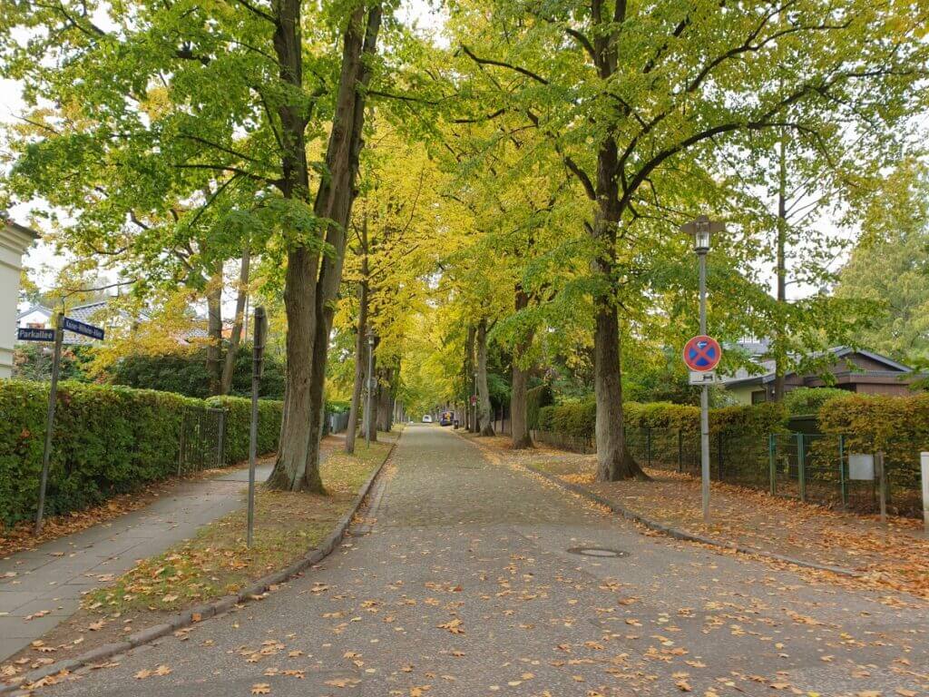 Herbst-Spaziergang durch das Villenviertel in Ahrensburg