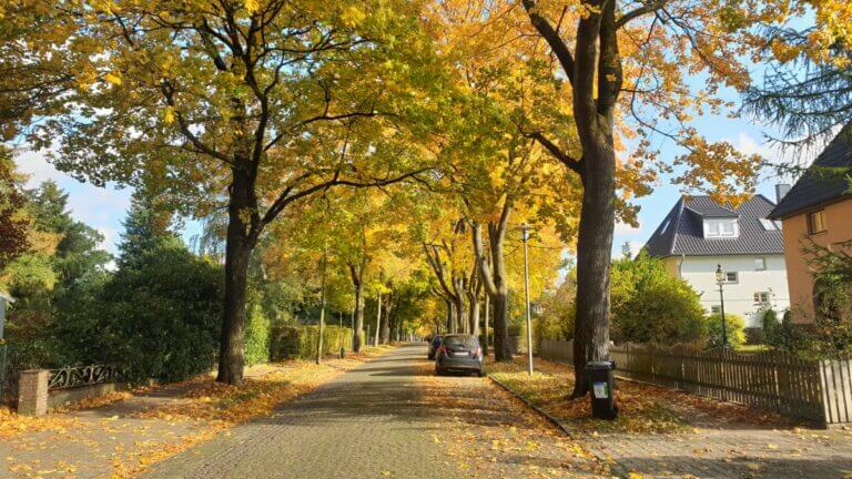 Herbst-Spaziergang durch das Villenviertel in Ahrensburg