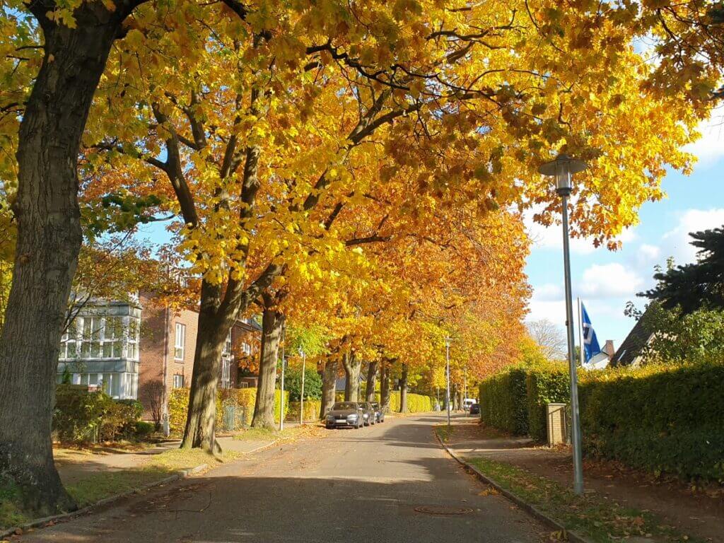 Herbst-Spaziergang durch das Villenviertel in Ahrensburg