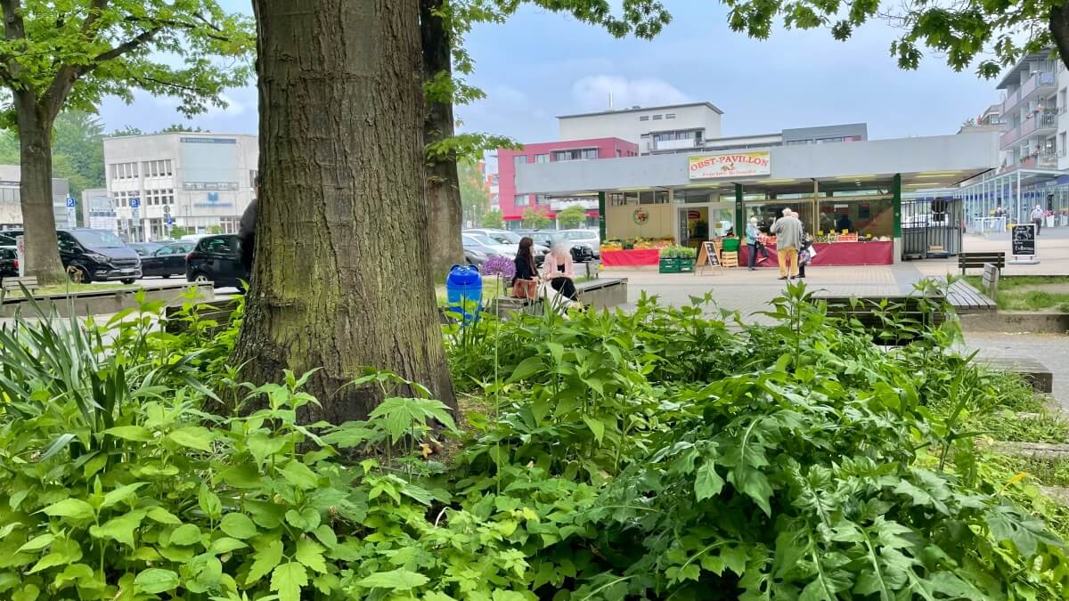 Rathausplatz in Ahrensburg – so sah er früher aus 😍